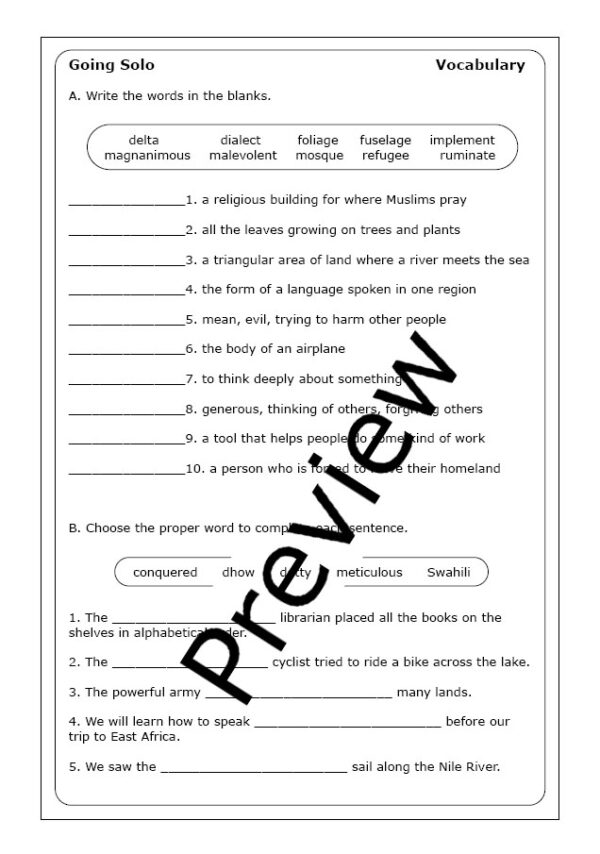 Roald Dahl "Going Solo" worksheets | Made By Teachers