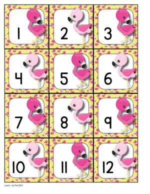 Calendar Number Cards Flamingo Theme | Made By Teachers