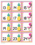Calendar Number Cards Flamingo Theme | Made By Teachers