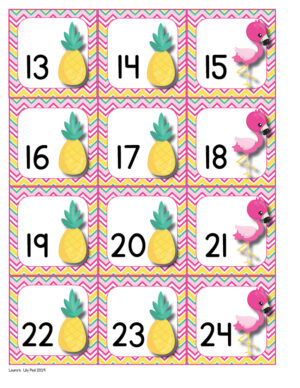Calendar Number Cards Flamingo Theme | Made By Teachers