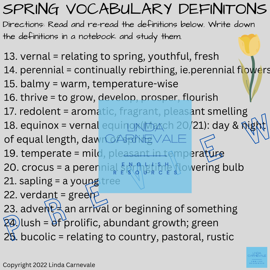 SPRING Vocabulary Bingo with Writing Paragraphs Activity & Poetry ...