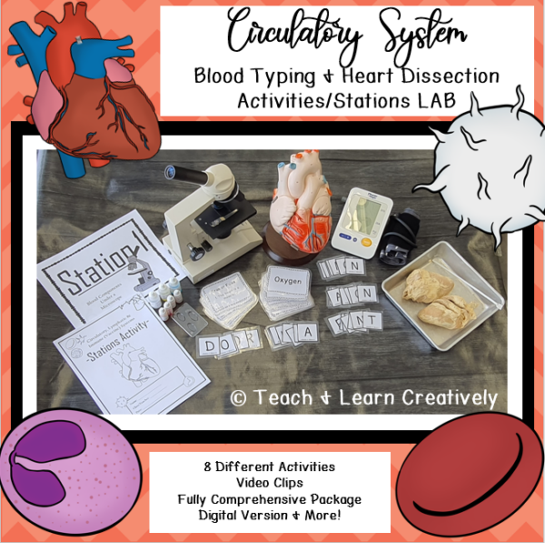 Circulatory System Stations Lab Activity Review Enrichment | Made By ...