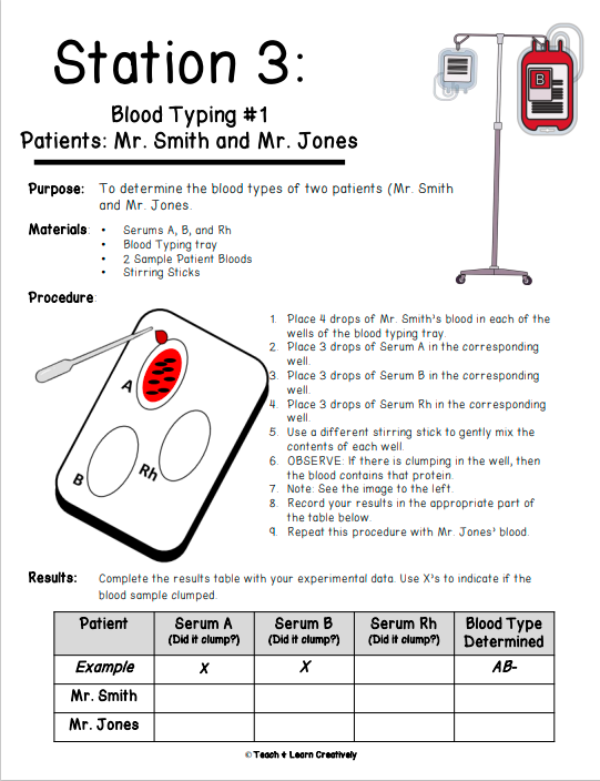 Circulatory System Stations Lab Activity Review Enrichment | Made By ...