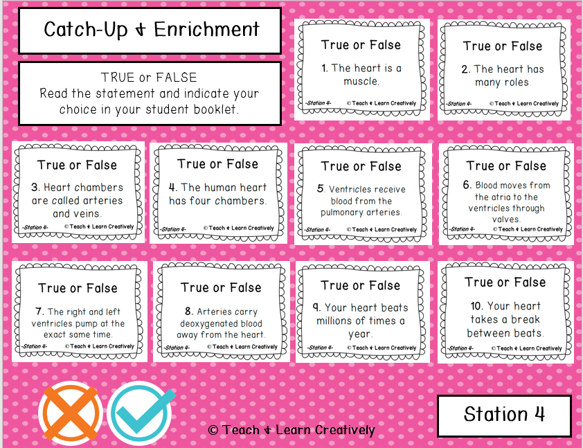 Circulatory System Stations Lab Activity Review Enrichment | Made By ...