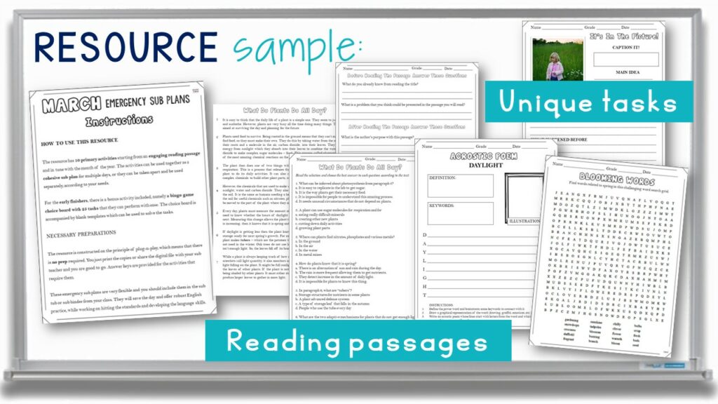 March Emergency Sub Plans Middle School ELA Activities and Worksheets ...