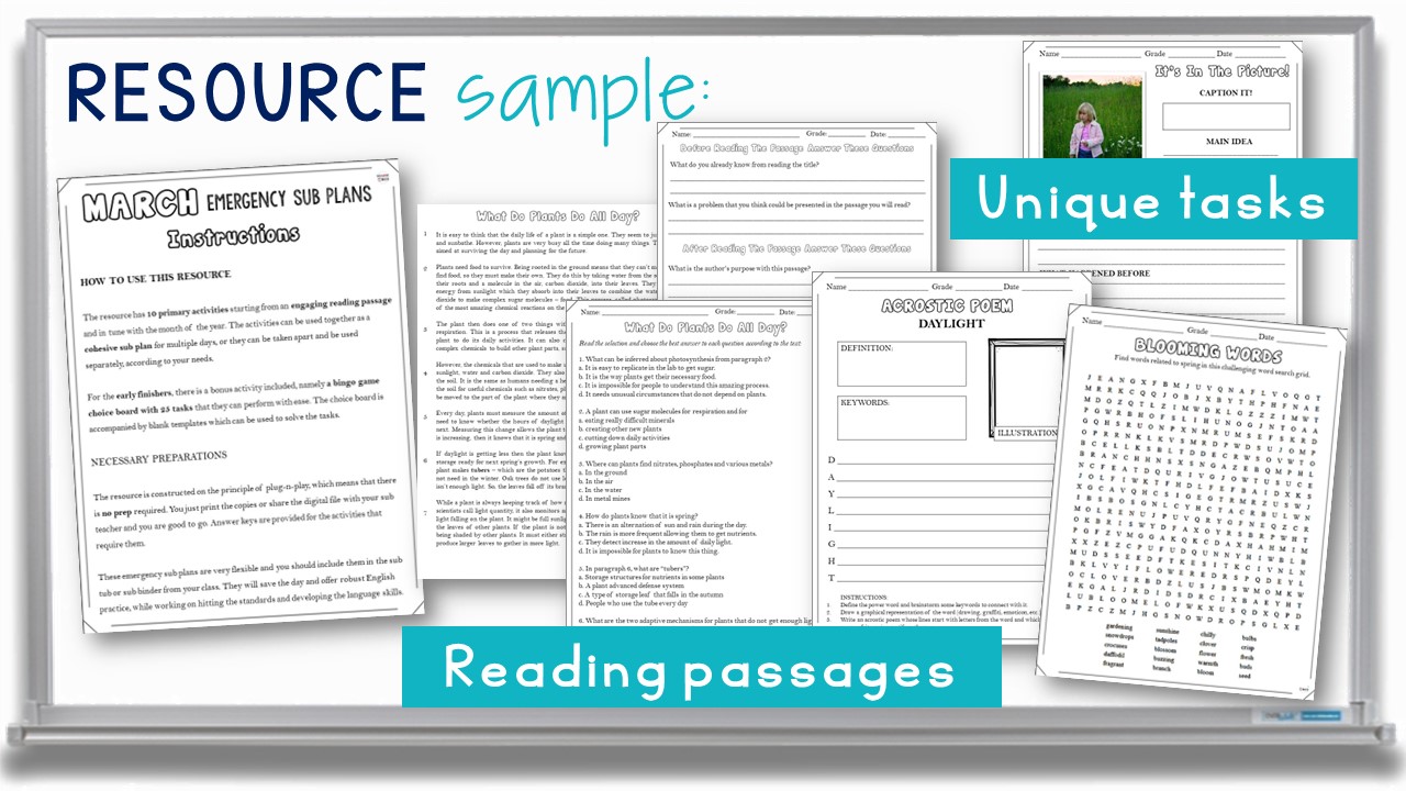 March Emergency Sub Plans Middle School ELA Activities and Worksheets ...