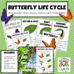 Butterfly Life Cycle Mini-Booklet Mini-Lesson Cut and Paste Activity ...