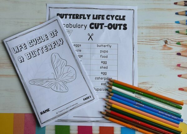 Butterfly Life Cycle Mini-Booklet Mini-Lesson Cut and Paste Activity ...
