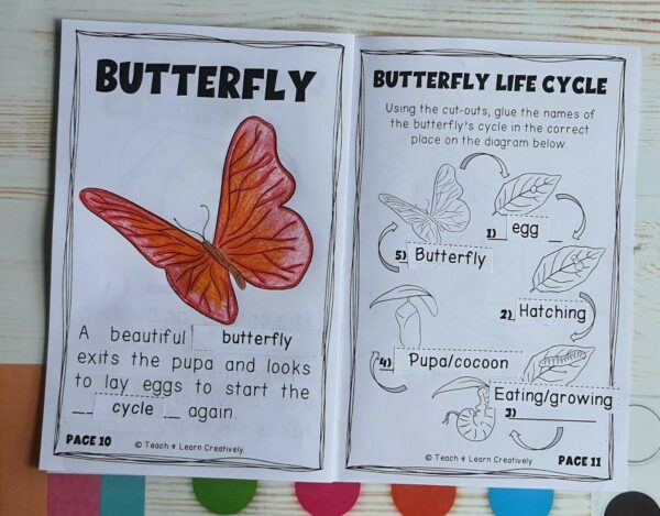 Butterfly Life Cycle Mini-Booklet Mini-Lesson Cut and Paste Activity ...
