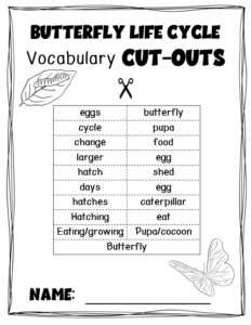 Butterfly Life Cycle Mini-Booklet Mini-Lesson Cut and Paste Activity ...