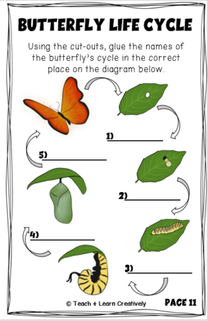 Butterfly Life Cycle Mini-Booklet Mini-Lesson Cut and Paste Activity ...