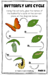 Butterfly Life Cycle Mini-Booklet Mini-Lesson Cut and Paste Activity ...