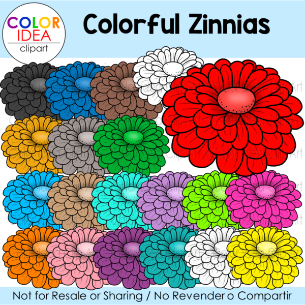 Colorful Zinnias | Made By Teachers