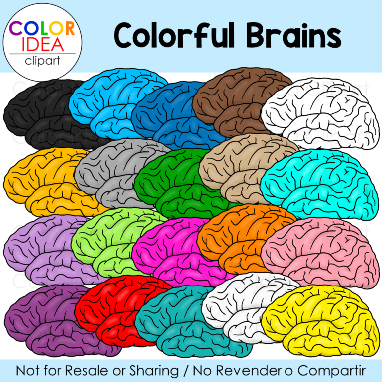 Colorful Brains | Made By Teachers