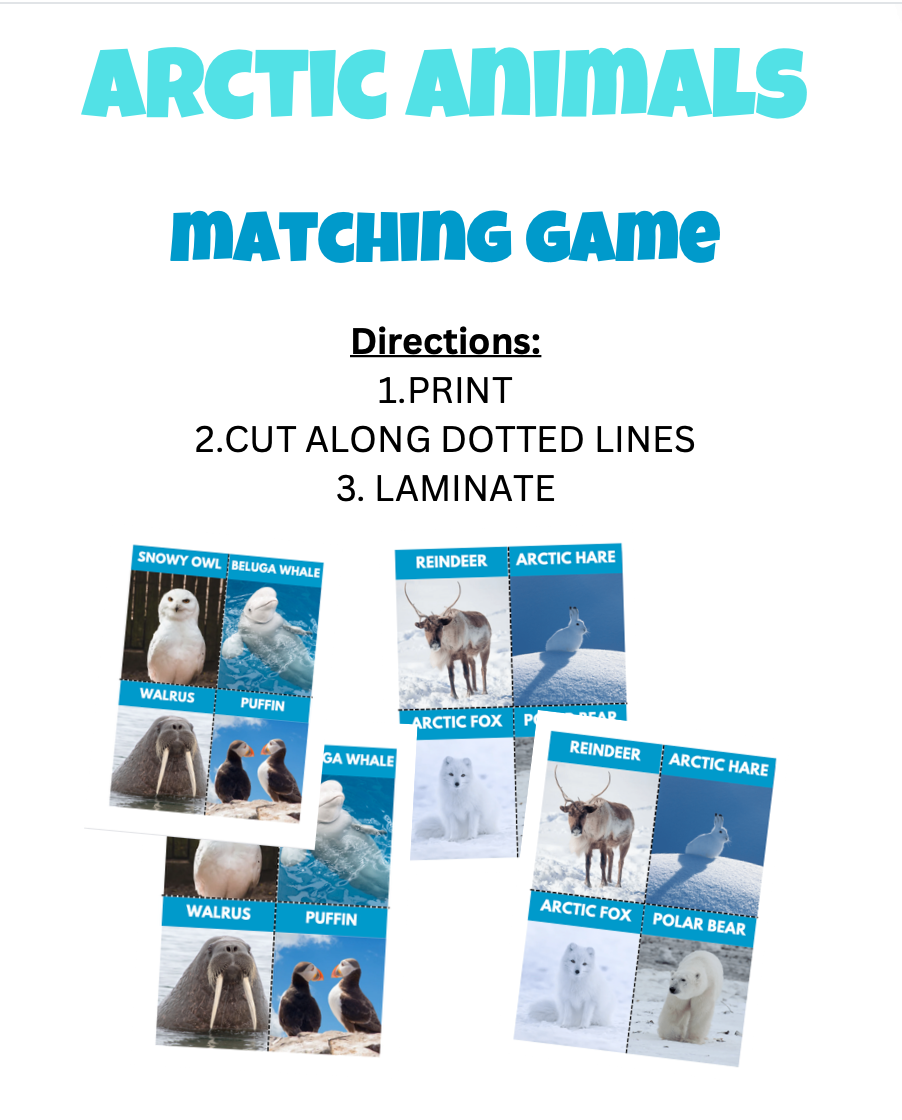Arctic Animals Matching Game | Made By Teachers