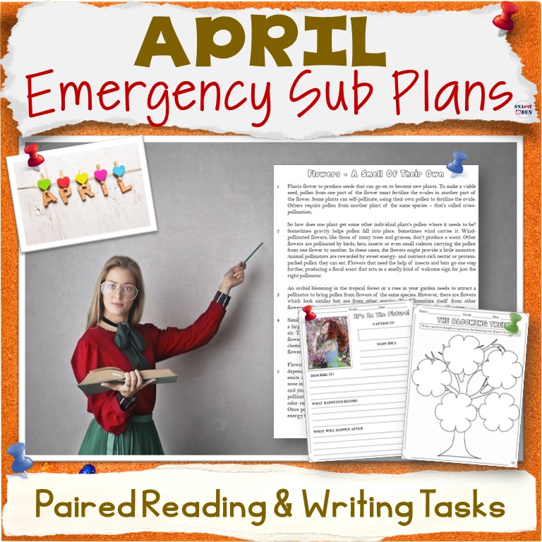 Fun Reading Comprehension Passages and MCQ Middle School Test Prep ...