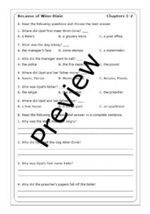 Kate DiCamillo "Because of Winn-Dixie" worksheets | Made By Teachers