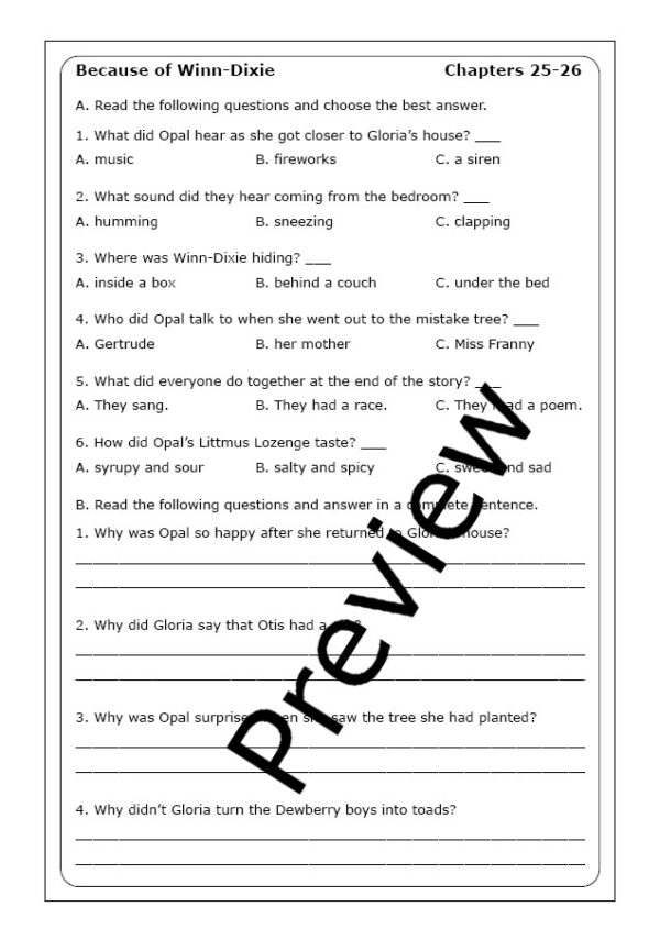 Kate DiCamillo "Because of Winn-Dixie" worksheets | Made By Teachers