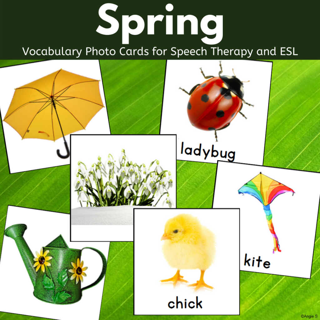 Spring Flashcards for Speech Therapy and ESL | Picture Vocabulary Cards ...