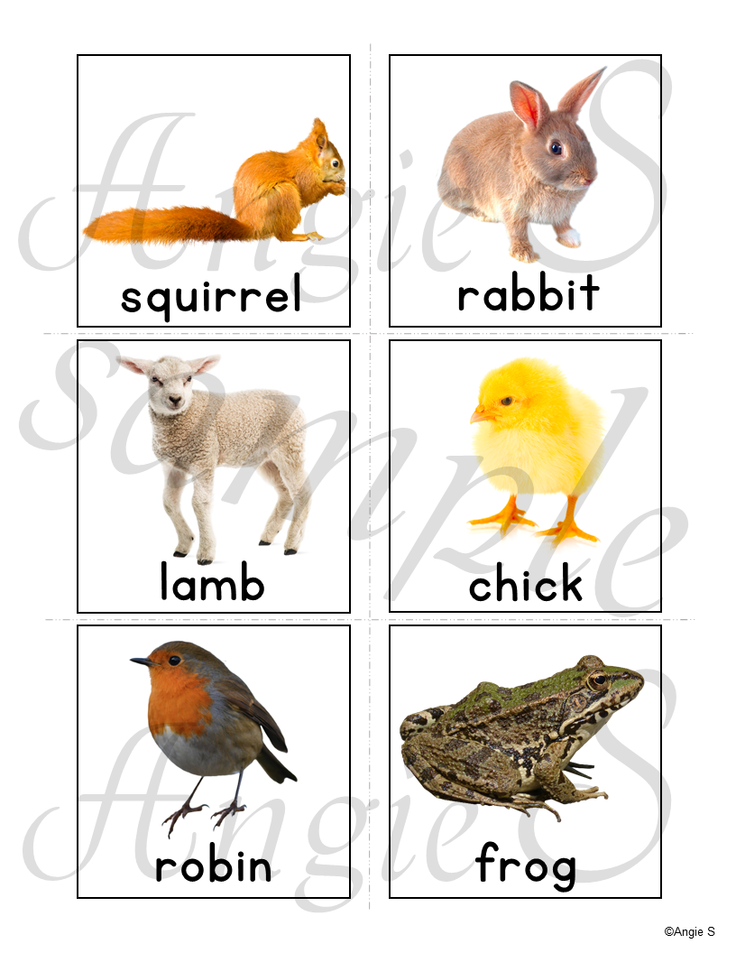 Spring Flashcards for Speech Therapy and ESL | Picture Vocabulary Cards ...