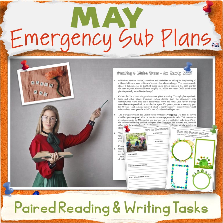May Emergency Sub Plans Middle School ELA Activities and Worksheets ...