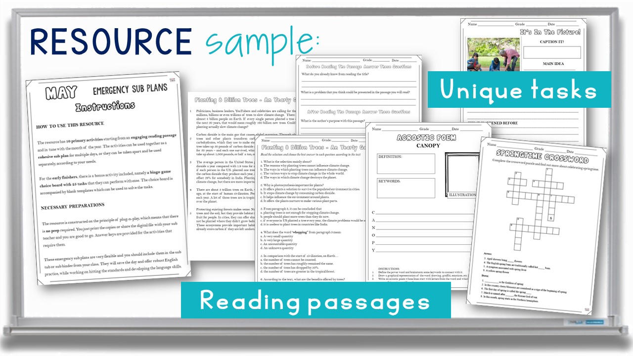 May Emergency Sub Plans Middle School ELA Activities and Worksheets ...