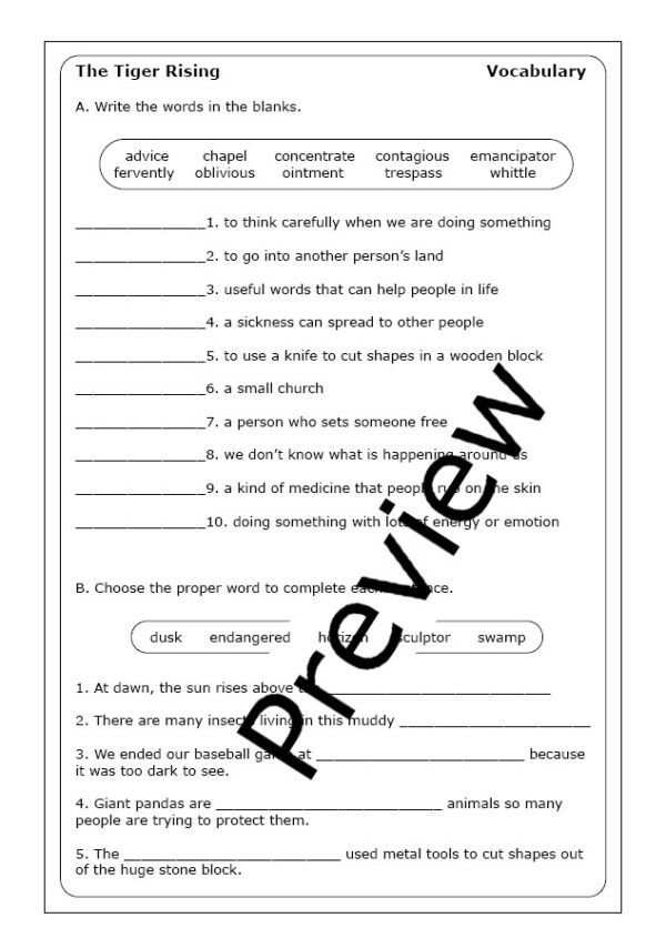 Kate DiCamillo "The Tiger Rising" worksheets | Made By Teachers