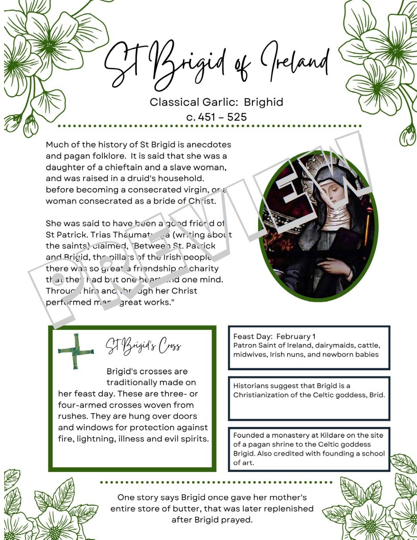 Profiles in History--Saints of Ireland | Made By Teachers