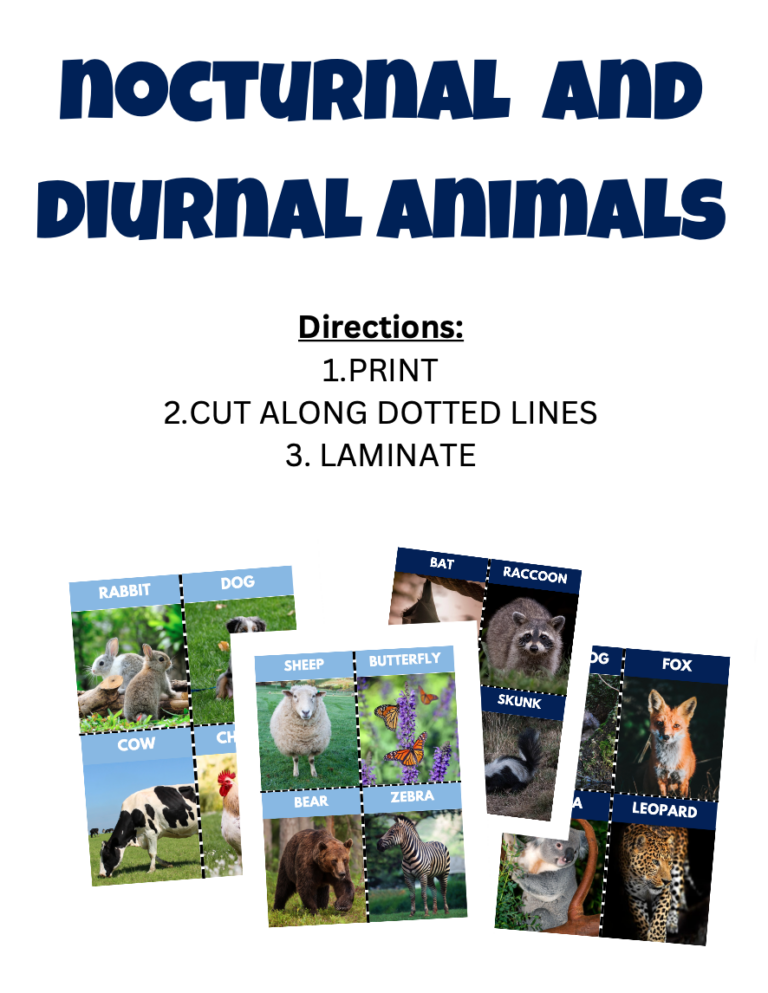 Nocturnal and Diurnal Animals Flashcards | Made By Teachers