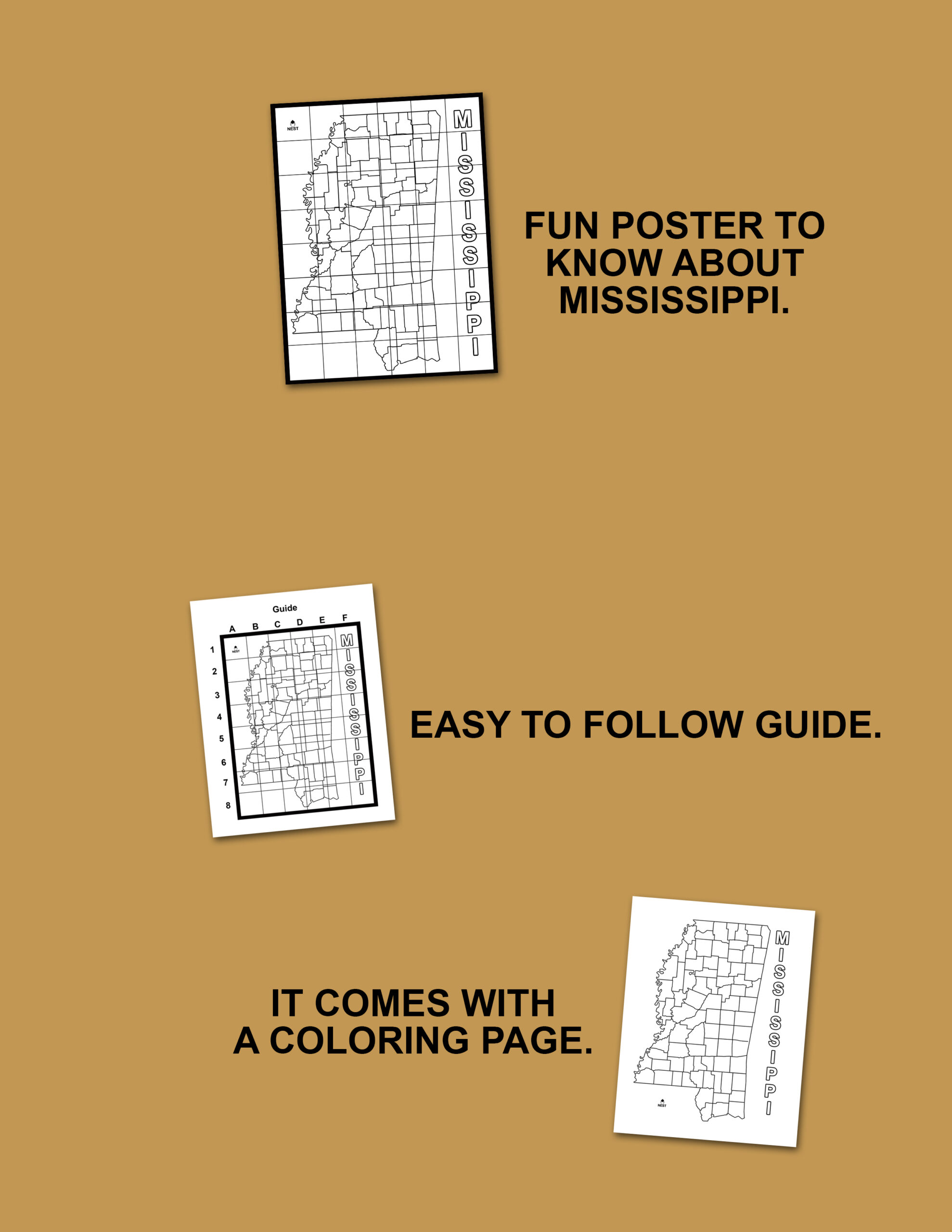 Mississippi Map Collaboration Poster | Made By Teachers