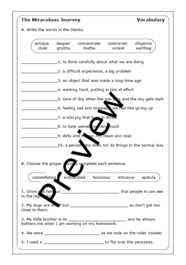 Kate DiCamillo "The Miraculous Journey of Edward Tulane" worksheets ...