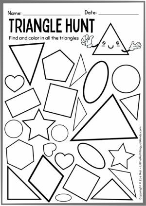 Identifying Shapes Worksheets: Spy Shapes, 3D 2D Shape Sort, Shape Hunt ...