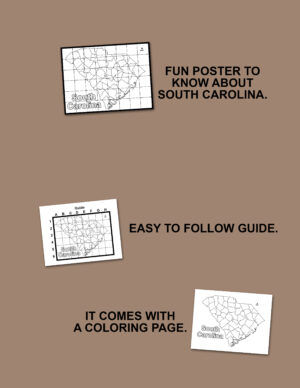 South Carolina Map Collaboration Poster | Made By Teachers