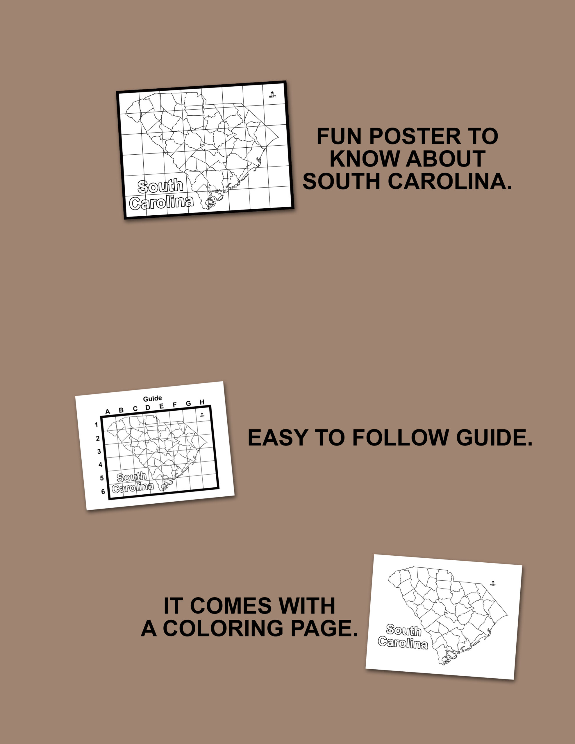 South Carolina Map Collaboration Poster | Made By Teachers