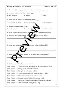 Kate DiCamillo "Mercy Watson to the Rescue" worksheets | Made By Teachers