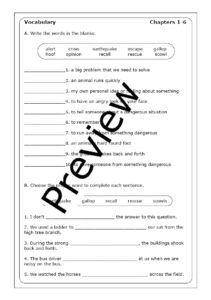 Kate DiCamillo "Mercy Watson to the Rescue" worksheets | Made By Teachers