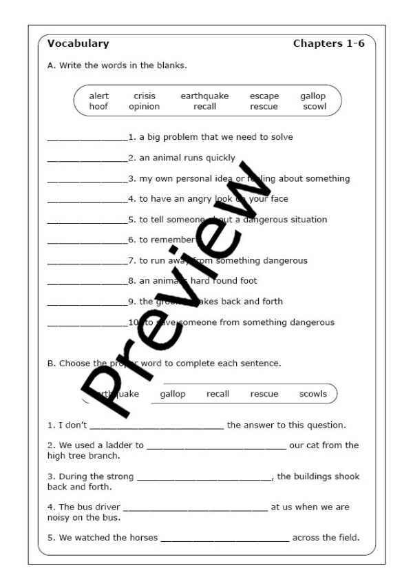 Kate DiCamillo "Mercy Watson to the Rescue" worksheets | Made By Teachers