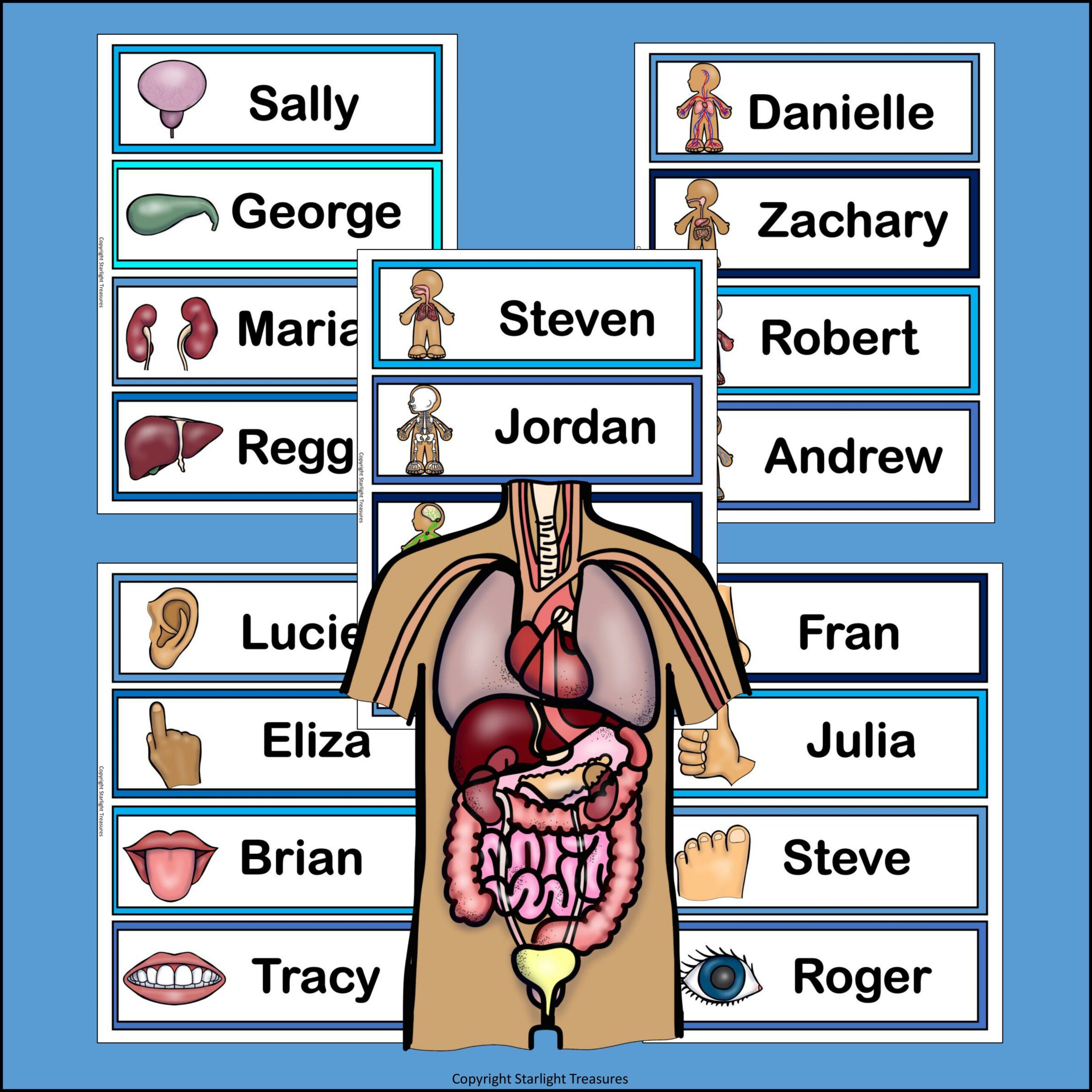Human Body Name Tags - Editable | Made By Teachers