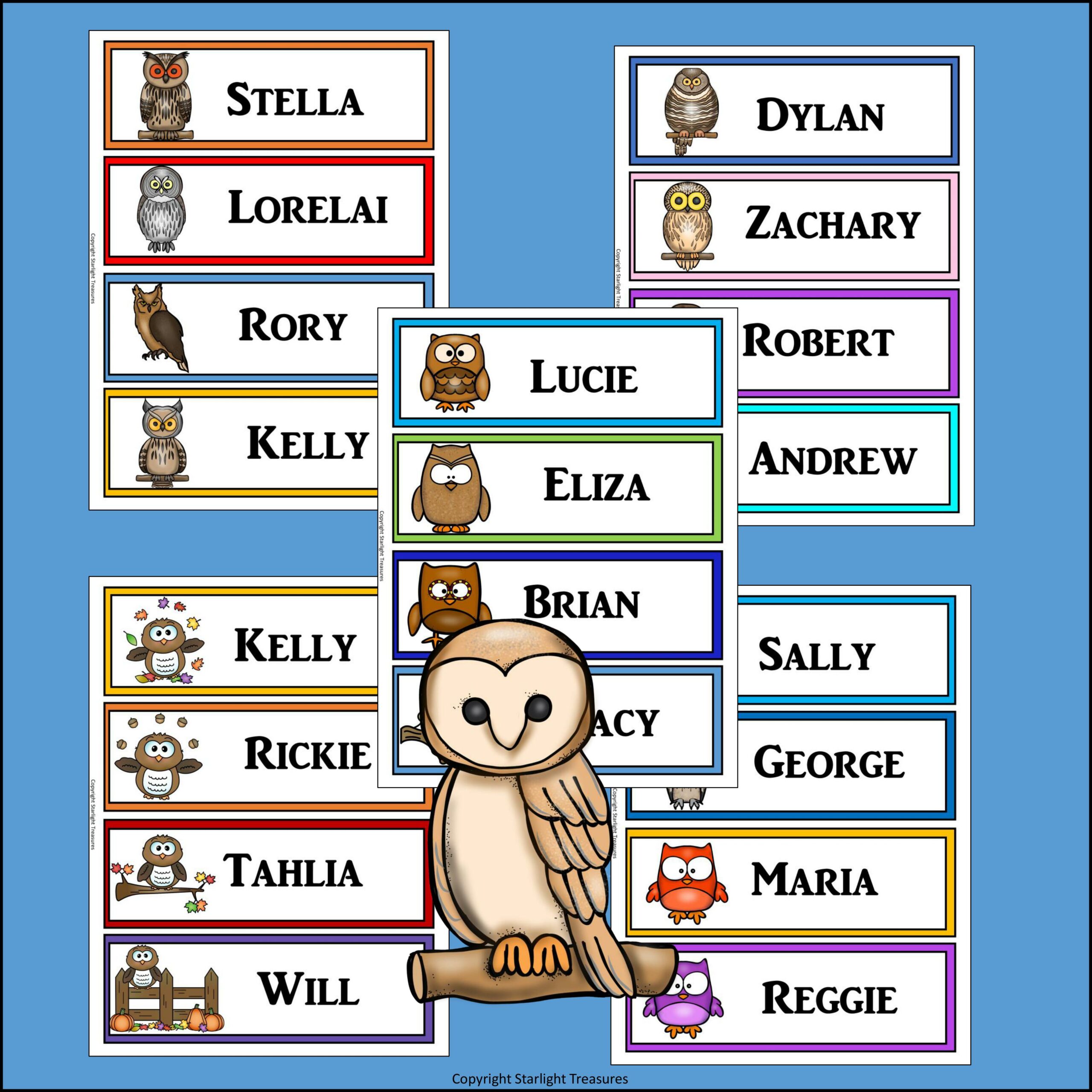 Owl Desk Name Tags - Editable | Made By Teachers