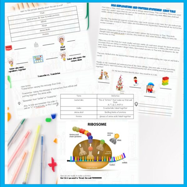 DNA and Protein Synthesis HANDS ON LAB and MORE! | Made By Teachers