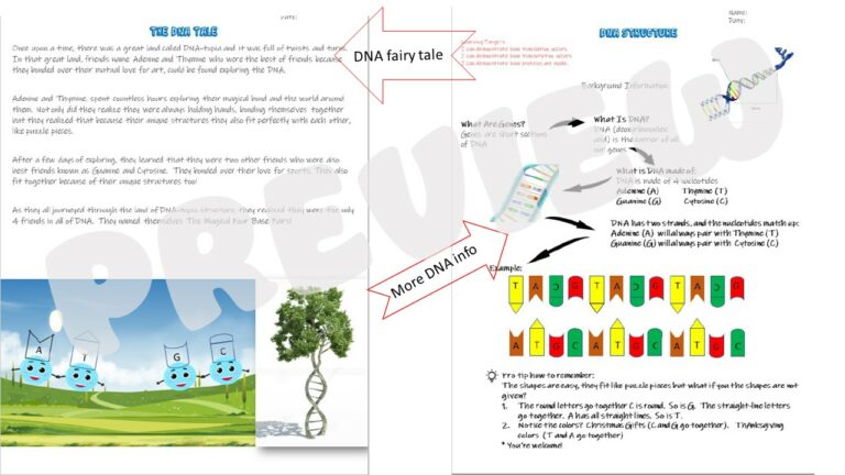 DNA and Protein Synthesis HANDS ON LAB and MORE! | Made By Teachers