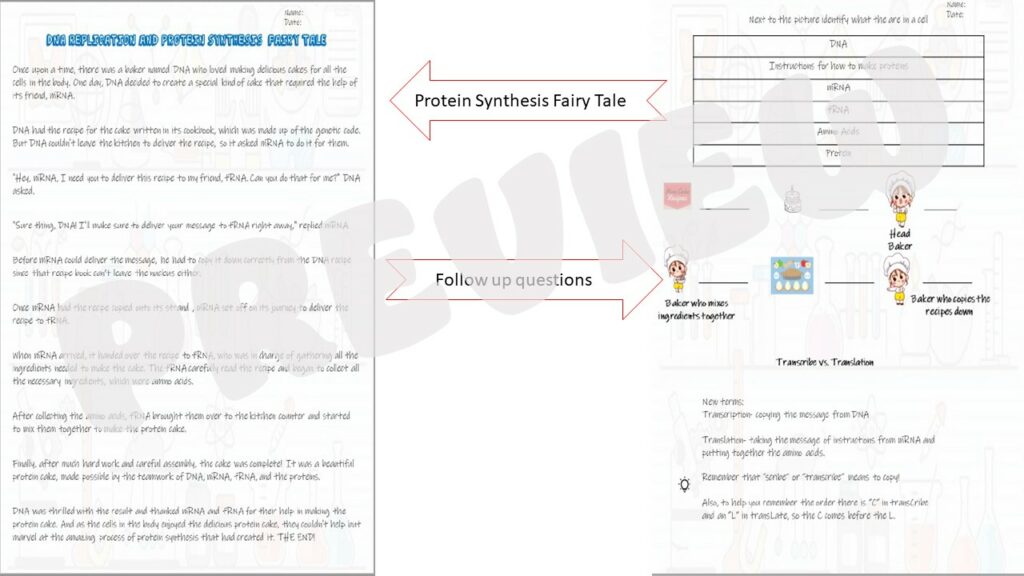 DNA and Protein Synthesis HANDS ON LAB and MORE! | Made By Teachers