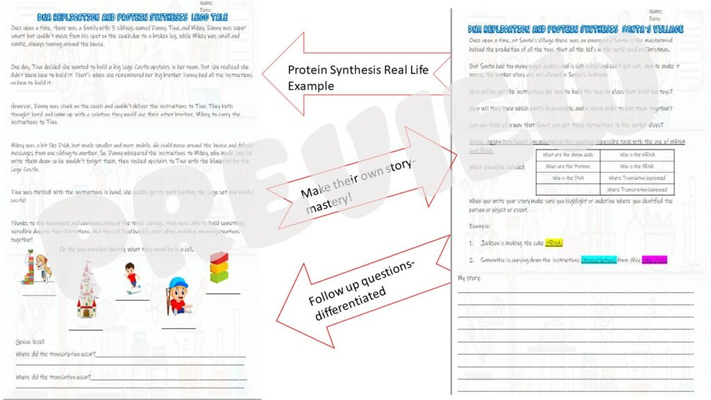 DNA and Protein Synthesis HANDS ON LAB and MORE! | Made By Teachers