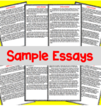 State Test Prep: Paired Passages with Writing Prompts - The BIG BUNDLE ...