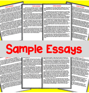 State Test Prep: Paired Passages with Writing Prompts - The BIG BUNDLE ...
