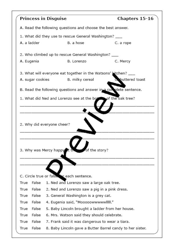 Kate DiCamillo "Mercy Watson Princess in Disguise" worksheets | Made By ...