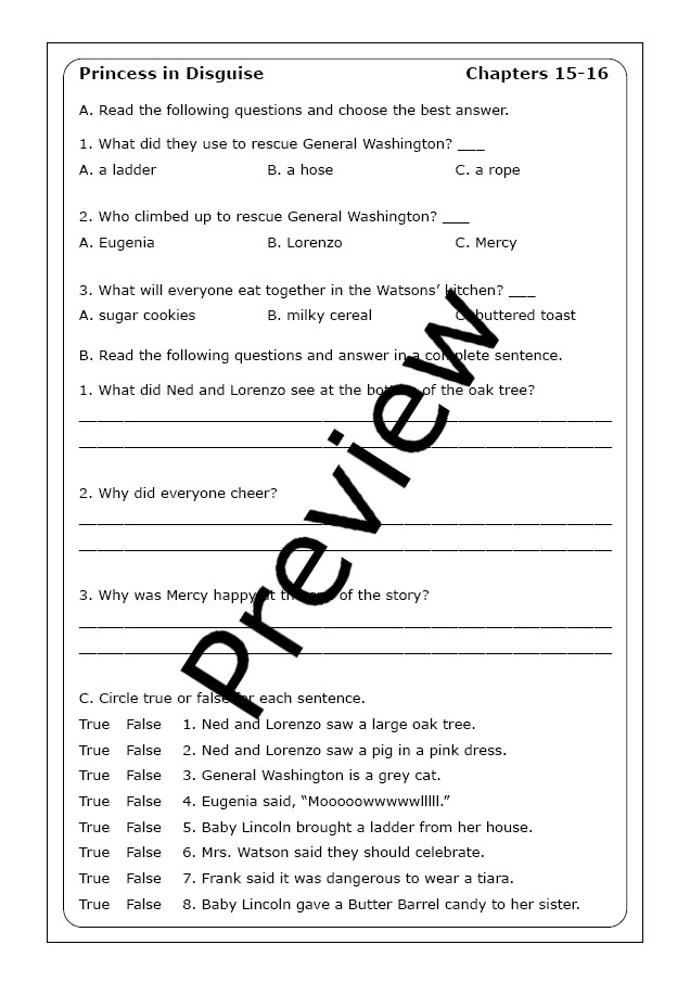 Kate DiCamillo "Mercy Watson Princess in Disguise" worksheets | Made By ...