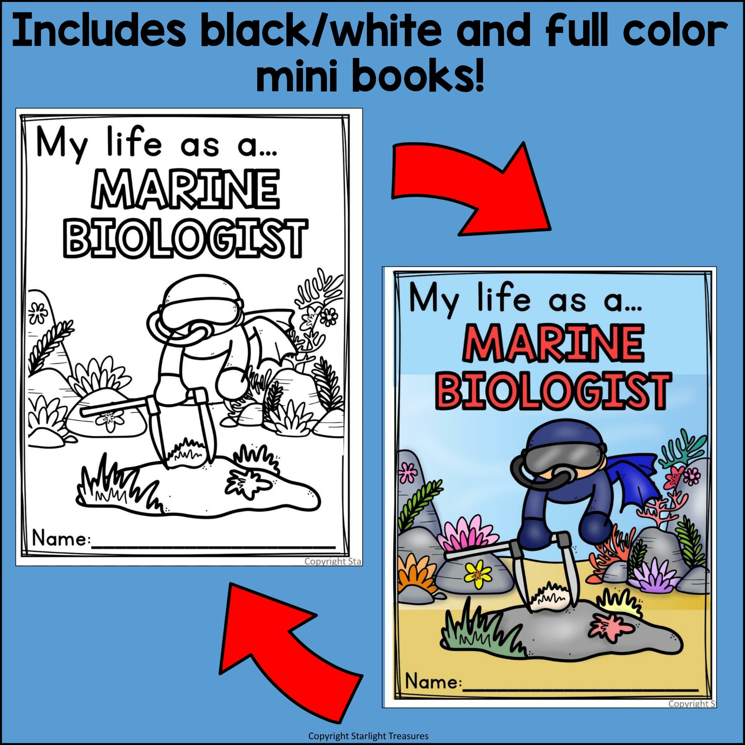 Marine Biologist Mini Book for Early Readers - Types of Scientists ...