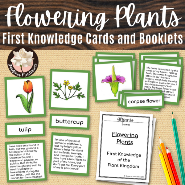 Flowering Plants Cards and Booklets - Montessori Botany Plant Kingdom ...