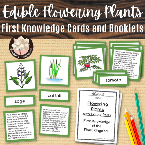 Edible Flowering Plants Cards Booklets - Montessori Botany Plant ...